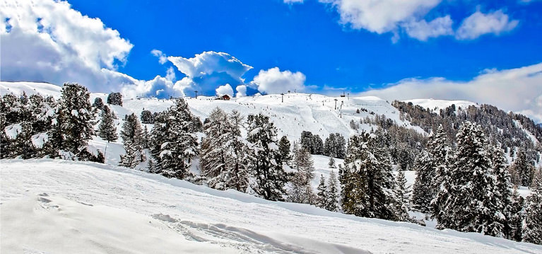 RV Travel Alberta | The Powder Trail | CanaDream