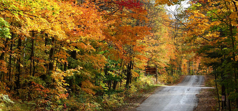 RV Travel Ontario | Ontario Fall Foliage | CanaDream