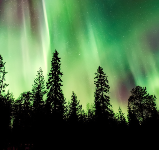 Northern Canada Festivals | Blog | CanaDream