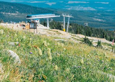 Blog | Summer Vacation in Canada | CanaDream | CanaDream