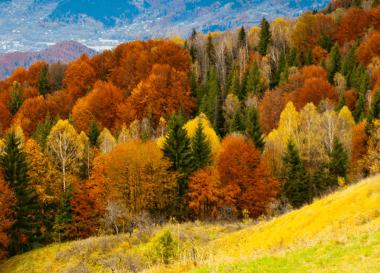 Blog | Top 7 Canadian Fall Holiday Routes | CanaDream