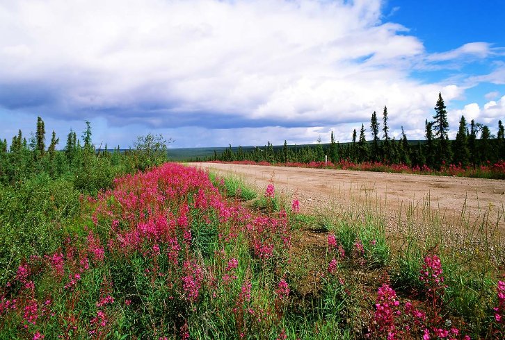 RV Destinations | Inuvik NT | Visit Canada | | CanaDream